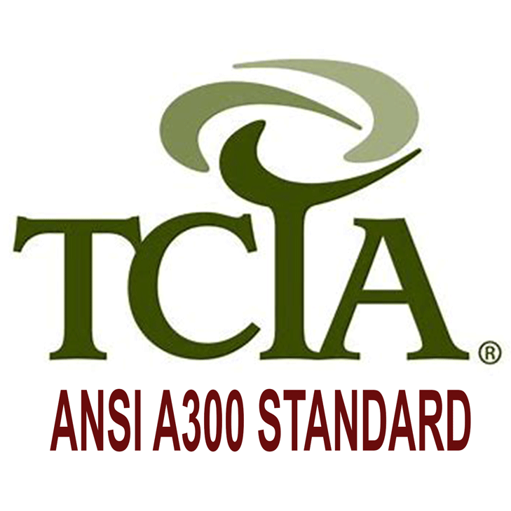 Tree Service New Orleans